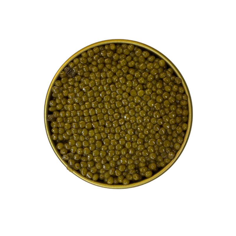 Caviar Osetra (Asetra) | Tradición y sabor del Mar Caspio